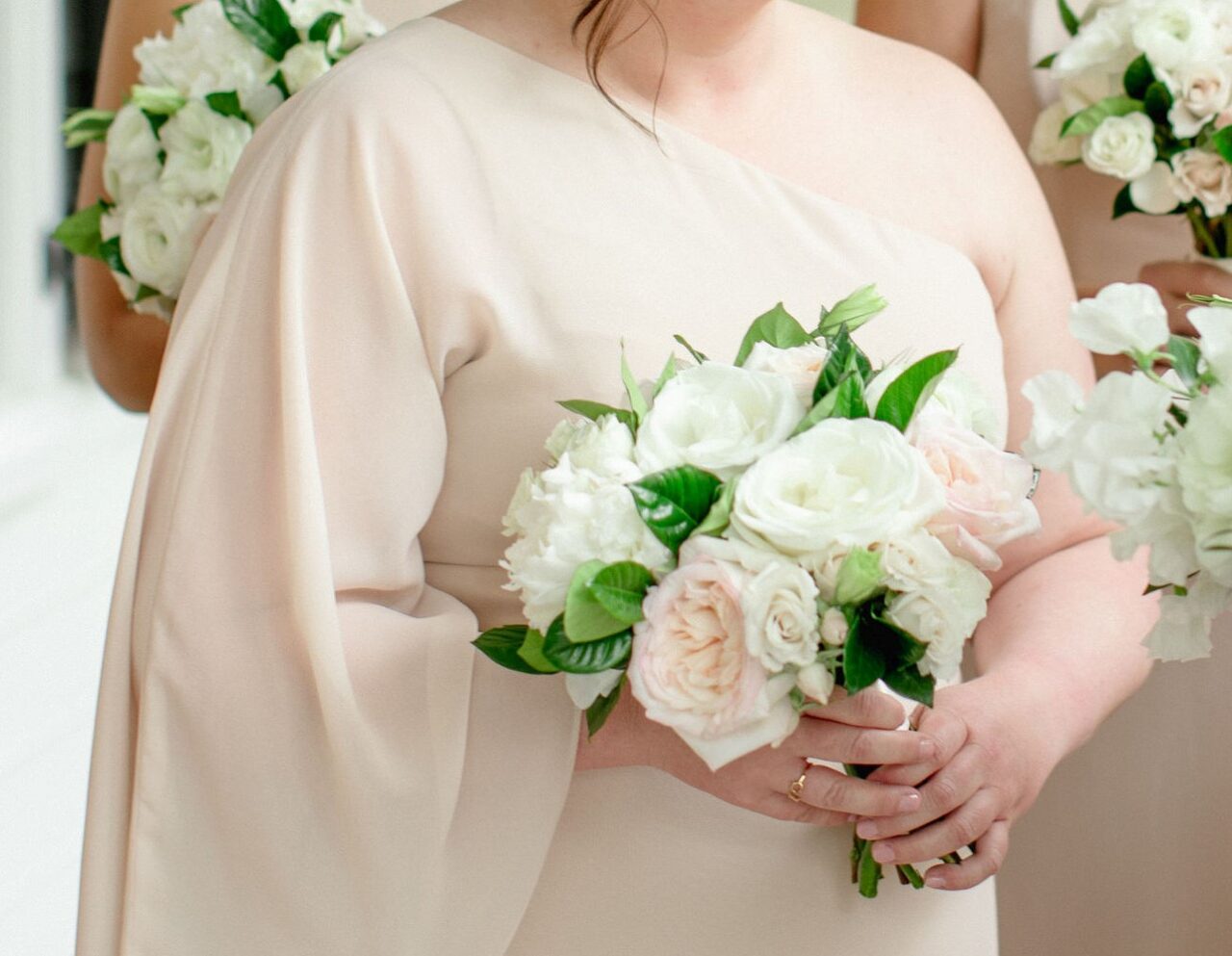 Garden Rose vs Ranunculus, do you know the difference? | Tiger Lily ...